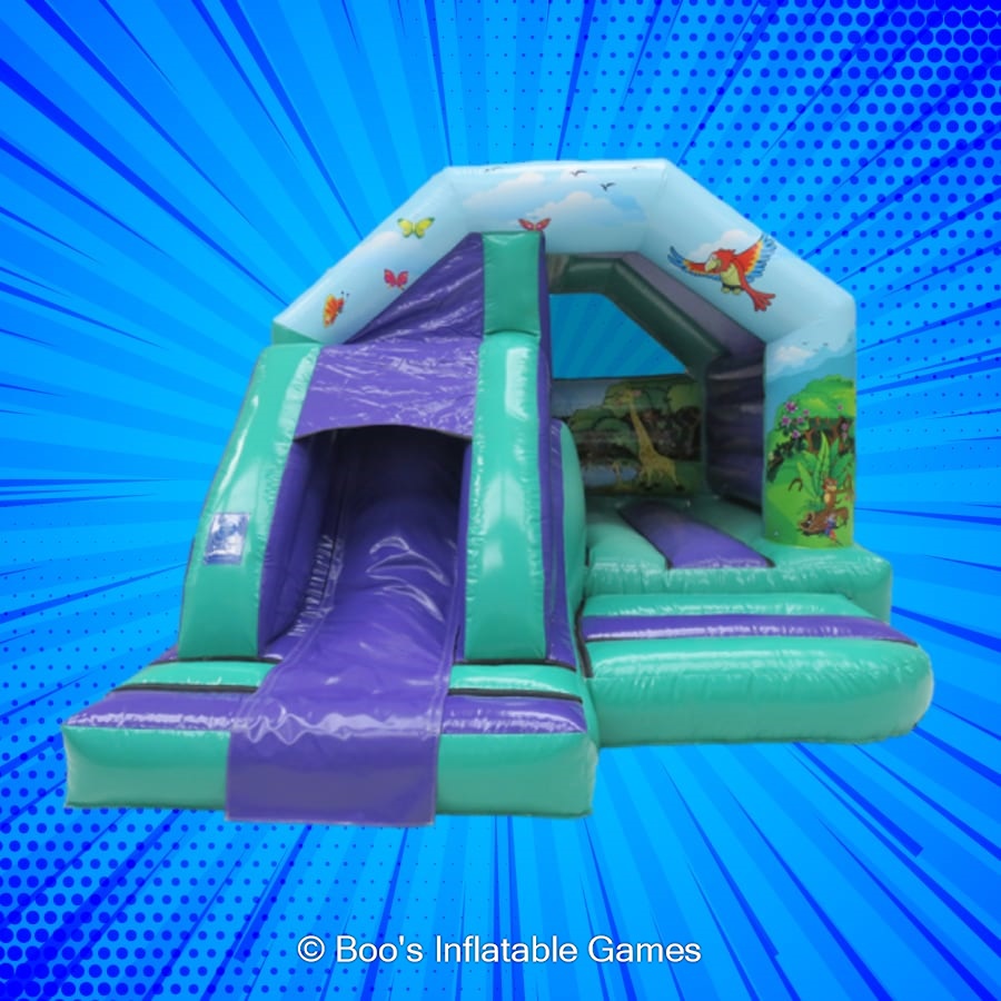 Jungle Slide Combo Rental - Roar into Adventure